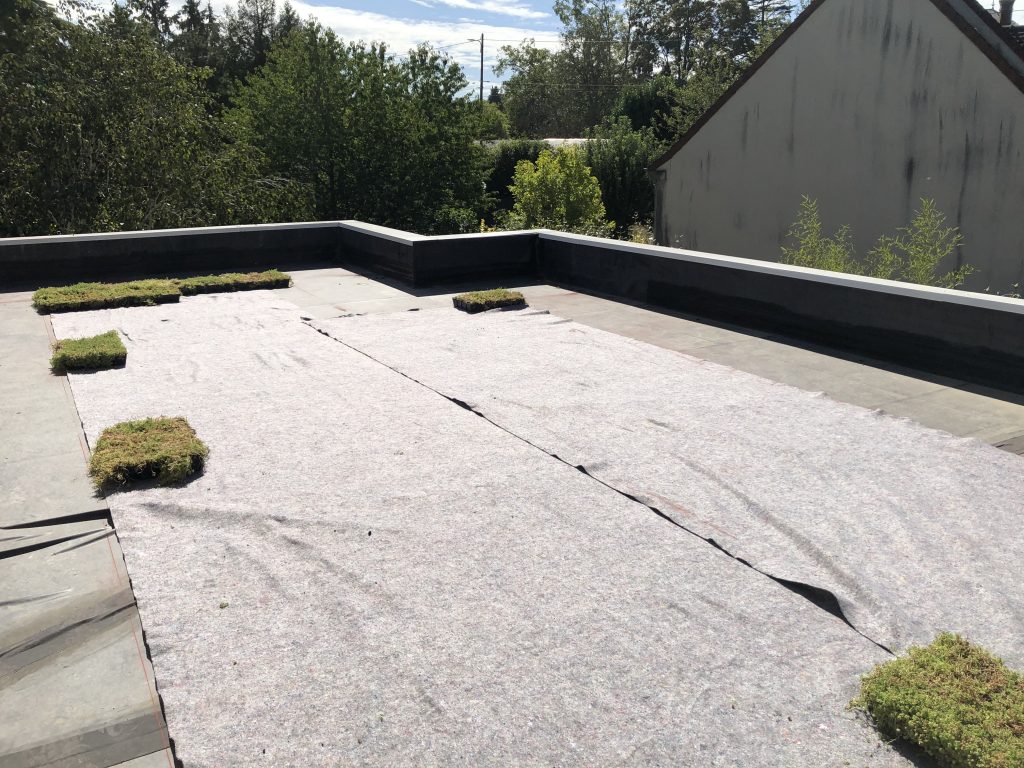 quel isolant choisir pour un toit terrasse?